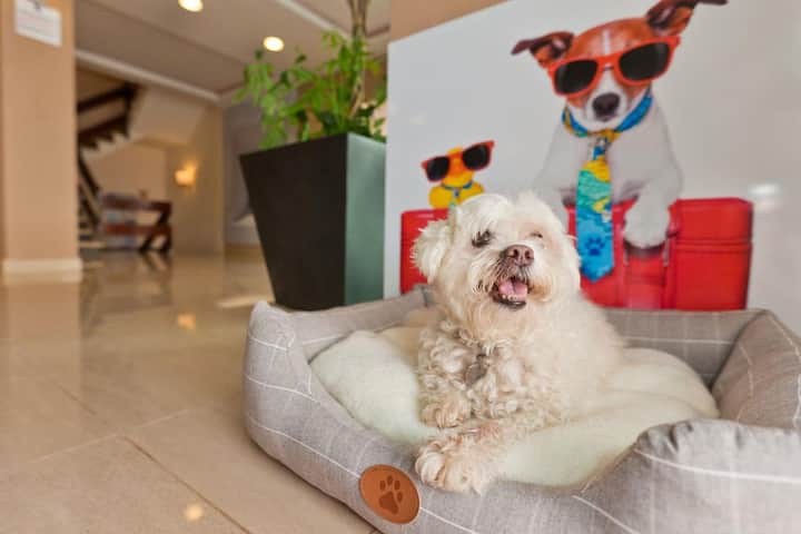 Budget Cosy Double Room In S. Eu 14m² Balcony & Ac - Ibiza City