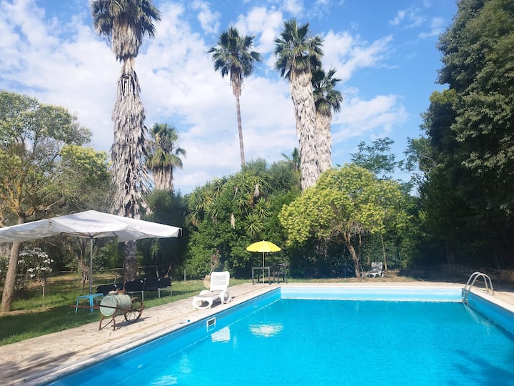 Agriturismo Capo Corso - Appartamento "Limone" - Belvedere