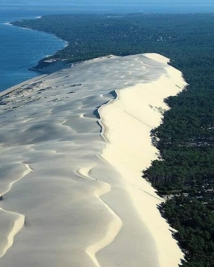 Détente Au Bassin D’arcachon. Chalet Avec  Jacuzzi - Bassin d'Arcachon