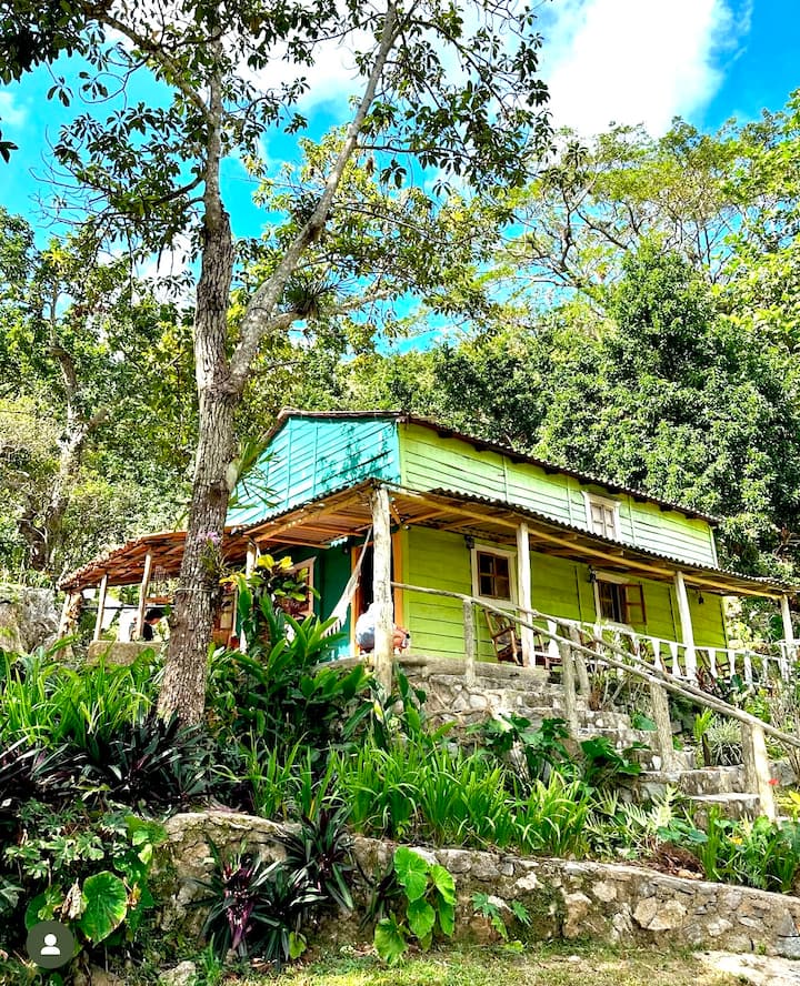 Avocado & Lemon Rest Room - Cuba