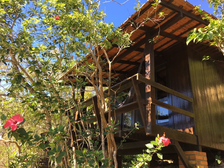 Chalé Família Em Porto Belo - Porto Belo