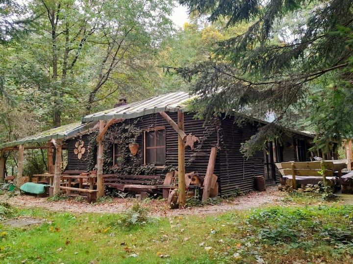 Fewo "Eulentreff" Im Wilden Auwaldhaus - Jonsdorf