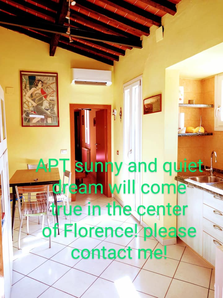 Apt Bright, Quiet! In The Center. - Florence