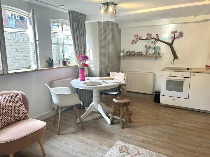 Souterrain Sandy Sous With Garden Near Beach - Noordwijk aan Zee