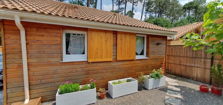Charmante Maison Ossature Bois En Lisière De Forêt - Cap Ferret