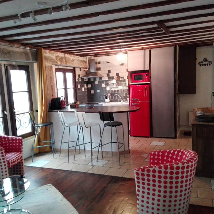 Cocon Cosy Et Design Au Coeur De La Croix Rousse - Lyon