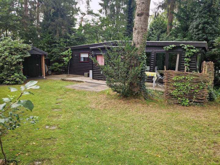Boshuisje Otterlo Aan Rand Van Het Bos. - Niederlande