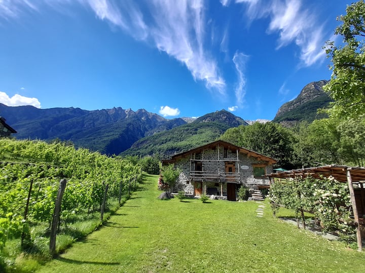 Torre Scilano, Chiavenna Torre E Fienile Nel Vigneto Bio - Piuro
