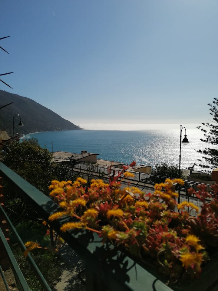 Il Coriandolo A Camogli! Cin It010007c2w7gxfywt - Camogli
