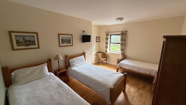 Triple Room (En Suite, Middle Floor) #18 - Dingle Peninsula