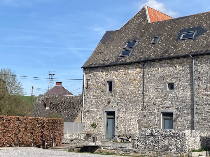 Au Grenier De La Floye - Gîte Le Bleuet - Mettet