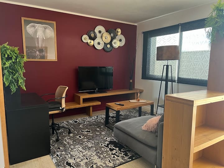 Appartement Cocooning - Baillargues