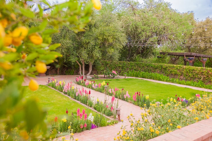 Casita Del Sol- Gorgeous Tucson Retreat & Ranch - Tucson, AZ