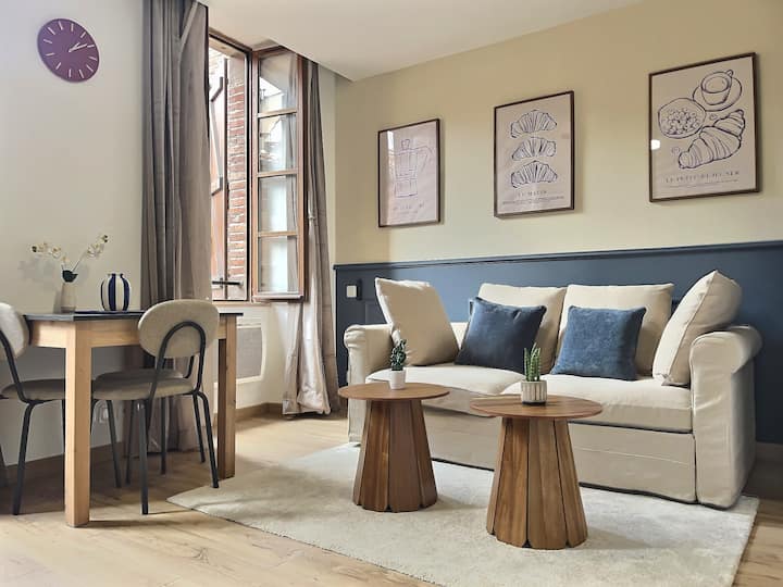 La Cour Des Secrets- Hyper Centre - Albí