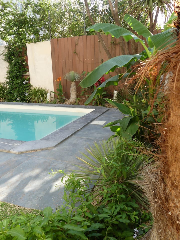 Domus Flora Maison Pierre Piscine Jardin Tropical - Nîmes