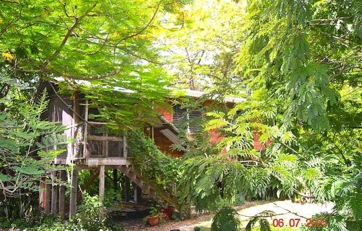 Nature's Nest | Close To Mayan Ruins | 5g Wifi - Belize
