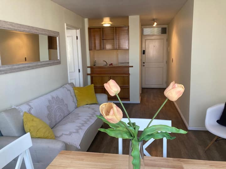 Comfortable And Nice Appartment In Santiago!! - Santiago