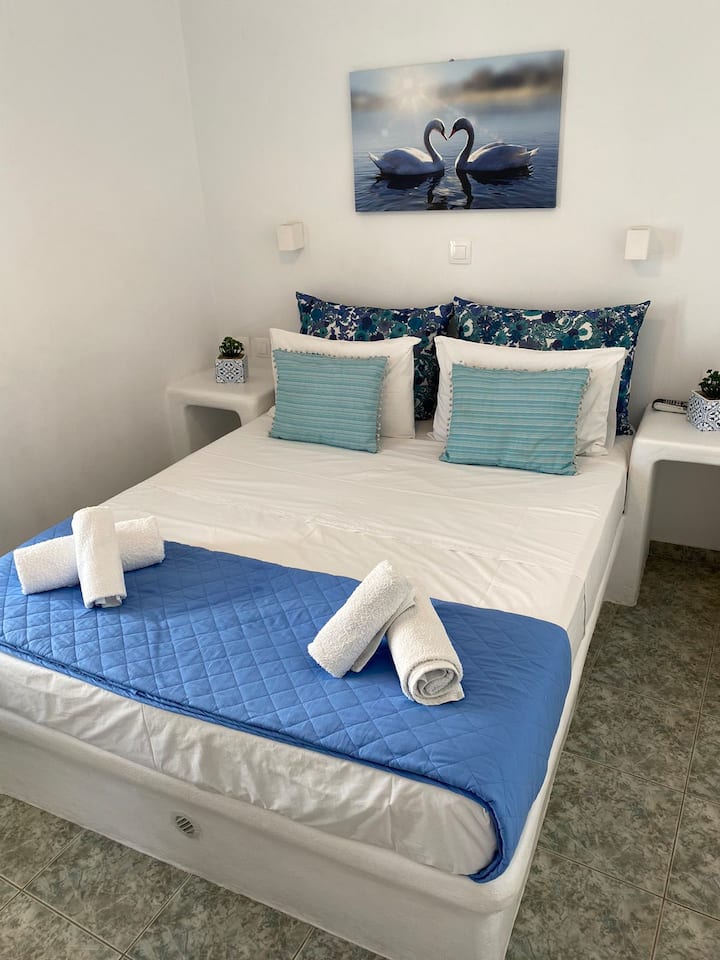 White Swan - Paros