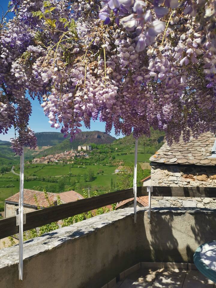 Bel Cantou ,  Liaucous - Le Rozier