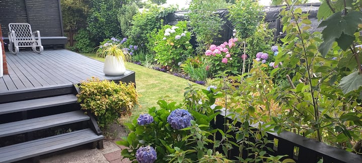 It's Meant To Be! - Hahei