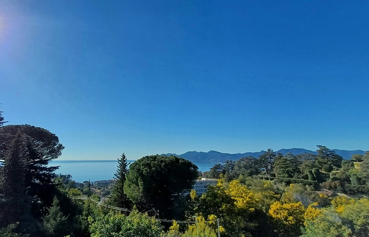 Studio 26m2 Vue Mer +Parking Privé - Cannes