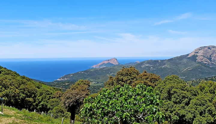 Appartement Au Calme Vue Mer Et Maquis - Cargèse