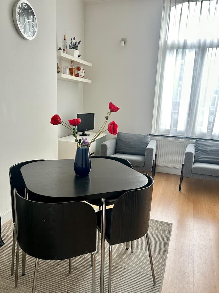 Bright Flat With View On Brussels, In Master House - Schaerbeek