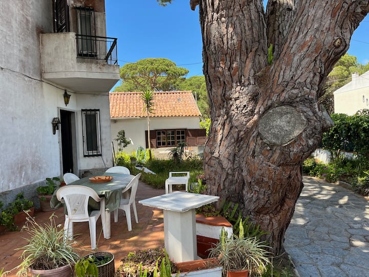 Casa Do Ganso - Colares