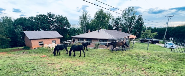 M&m Retreat - Ridgeway, VA