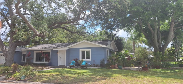 Dunedin Dreaming! - Dunedin, FL