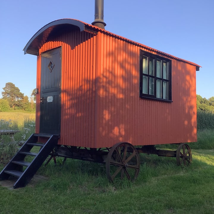 The Oak Shepherd's Hut - Blatchbridge Farm - Wiltshire