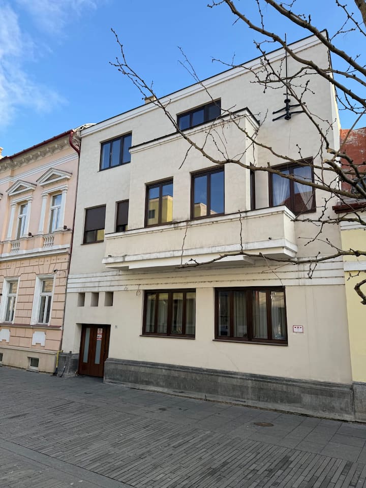Beautiful Studio Right In The City Center - Cluj-Napoca