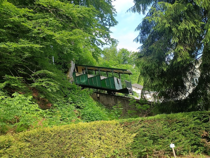Au Centre Grand Logement Pour 4, à La Nuit, Rando - Super-Besse
