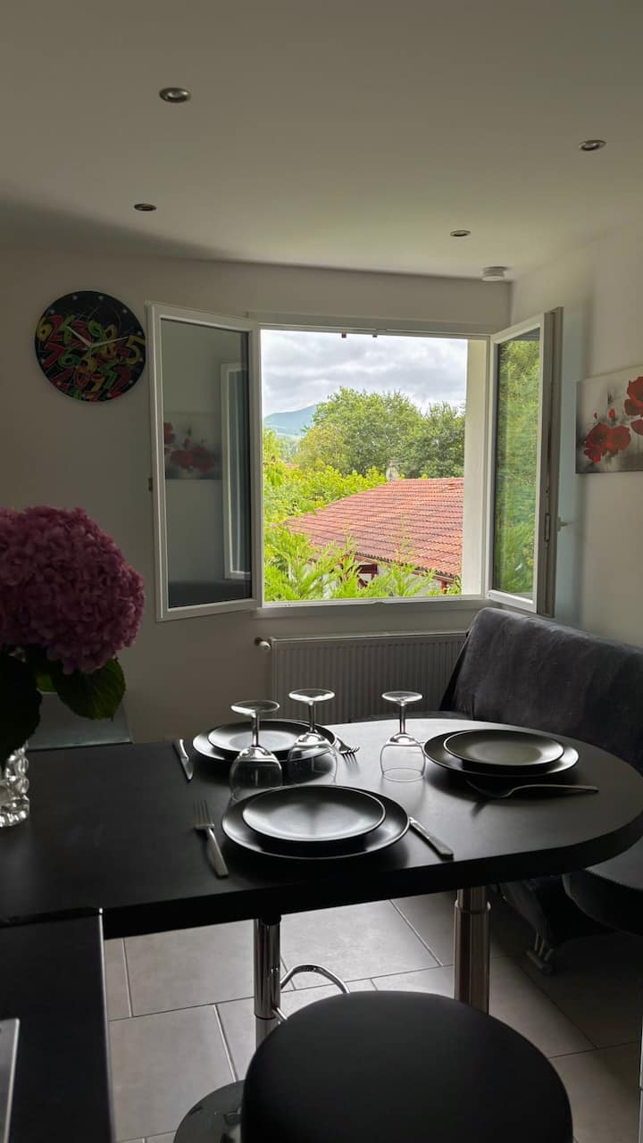 Charmant T1 Bis Duplex Et Son Jardin Privatif - Espelette