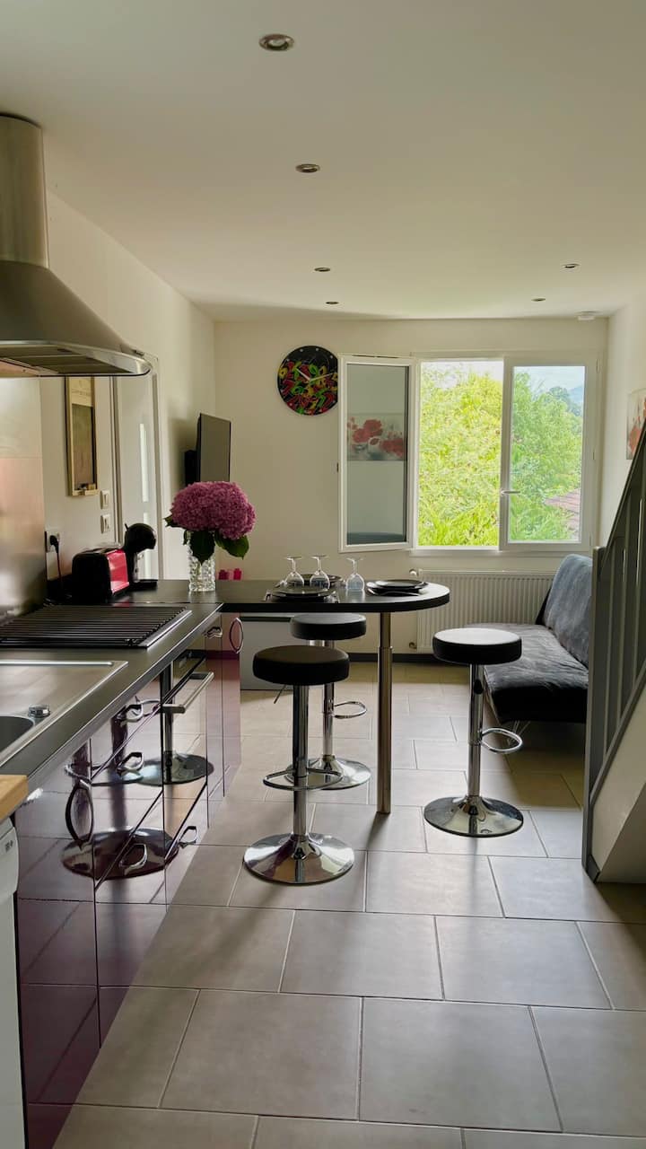 Charmant T1 Bis Duplex Et Son Jardin Privatif - Cambo-les-Bains
