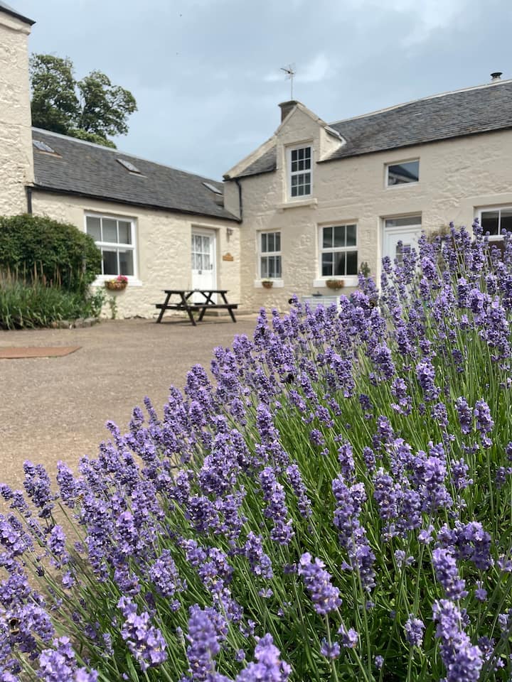 Over Hailes Holiday Cottages - The Bothy - Haddington