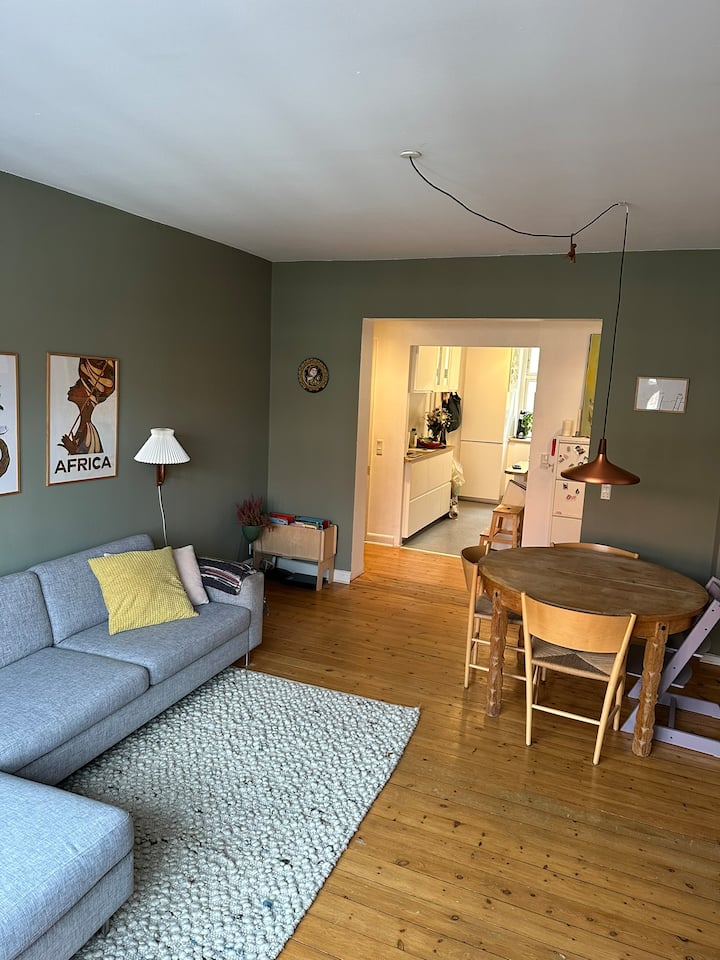 Dejlig Københavner-lejlighed På Islands Brygge. - Copenhaguen