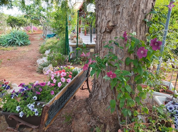 Oasi Di Relax Nel Cuore Della Natura - San Vito dei Normanni