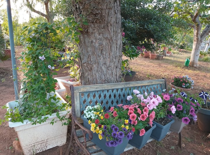 "Casa Di Isor: Un Sogno Romantico Da Condividere" - San Vito dei Normanni