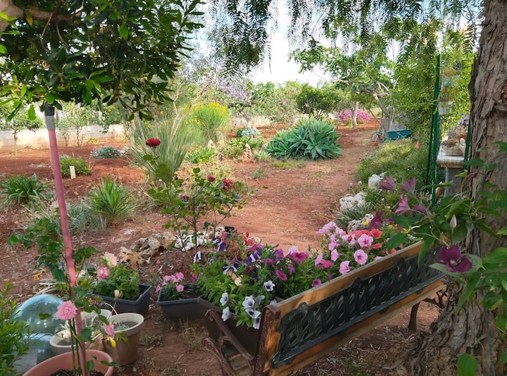 "Isor Mediterranean Guest House" - San Vito dei Normanni