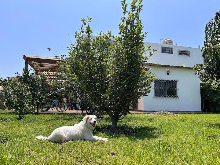 Casa De Campo En Huaral Pet Friendly - Huaral