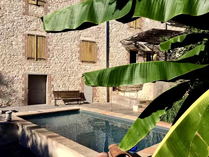 Gîte Familial, Piscine Et Jardin Dans Le Tarn - Tarn