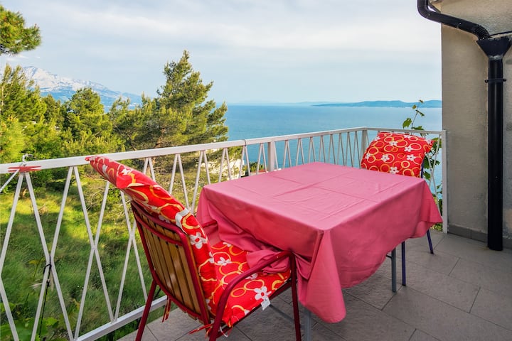Studio Pent House Terace View On The Sea - Mimice