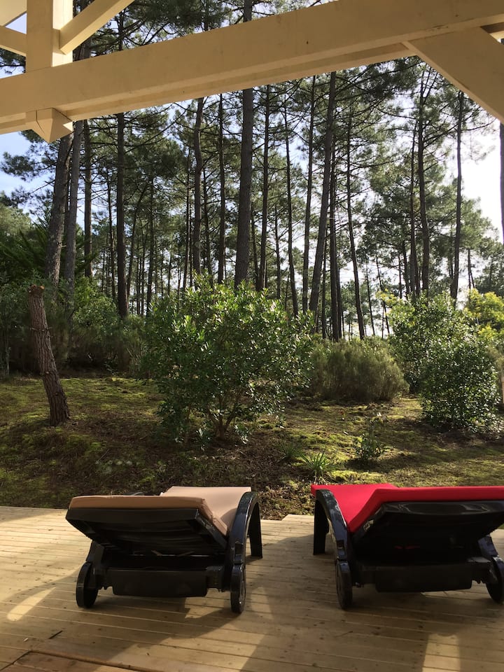 Chalet Naturiste Vue Magique Sur La Forêt - Le Porge