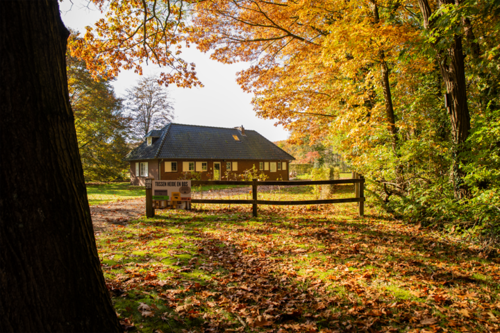 Tussen Heide En Bos Logies - As