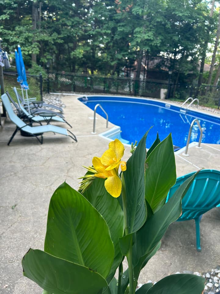 Spacious And Private Waterfront, Sleeps 10 - Maryland