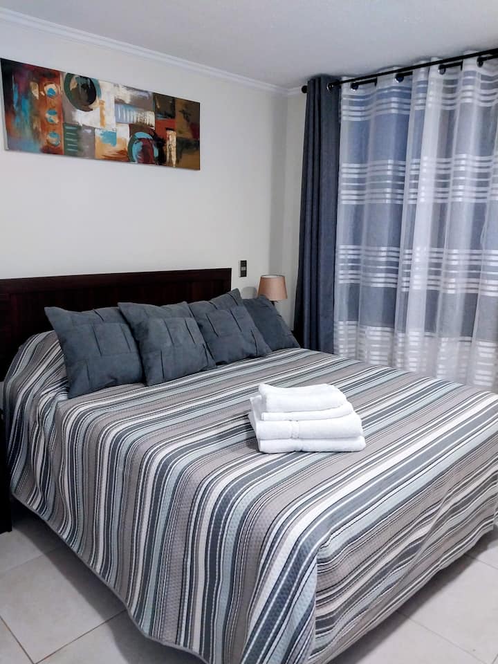 Acogedor Departamento En Barrio Lastarria - Santiago, Chile