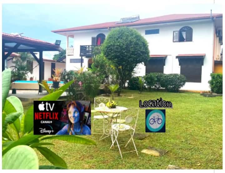 Yana  Tropicale Avec Vue Sur Forêt à  Cayenne. - Cayenne