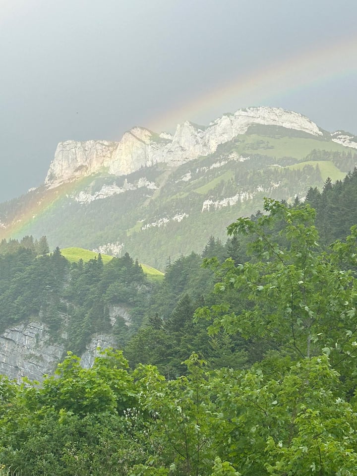 Im November Dem Nebel Entfliehen - Appenzell