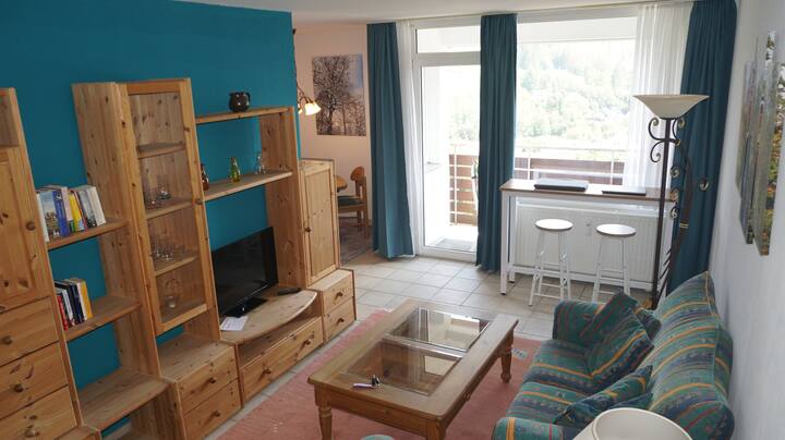 Ferienwohnung Schöne Aussicht - Altenau